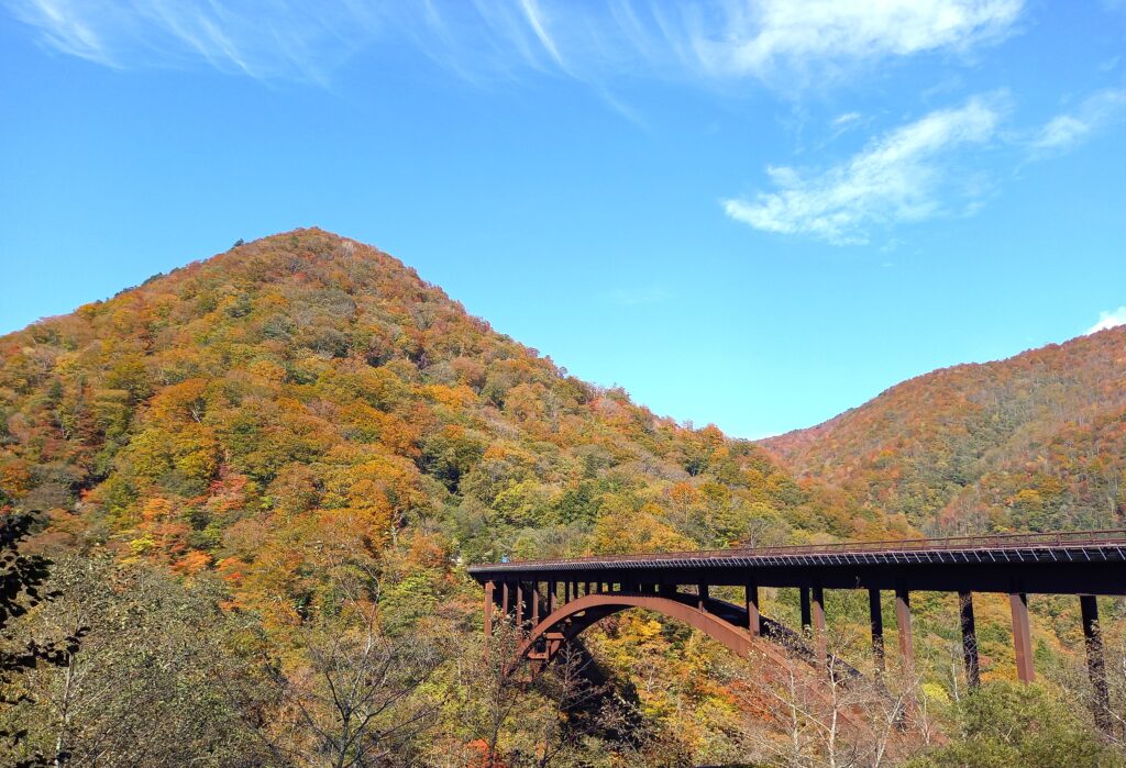 西郷村紅葉状況をお知らせします。 | 西郷村観光協会｜福島県西郷村日光国立公園にある自然豊かなさわやか高原公園都市