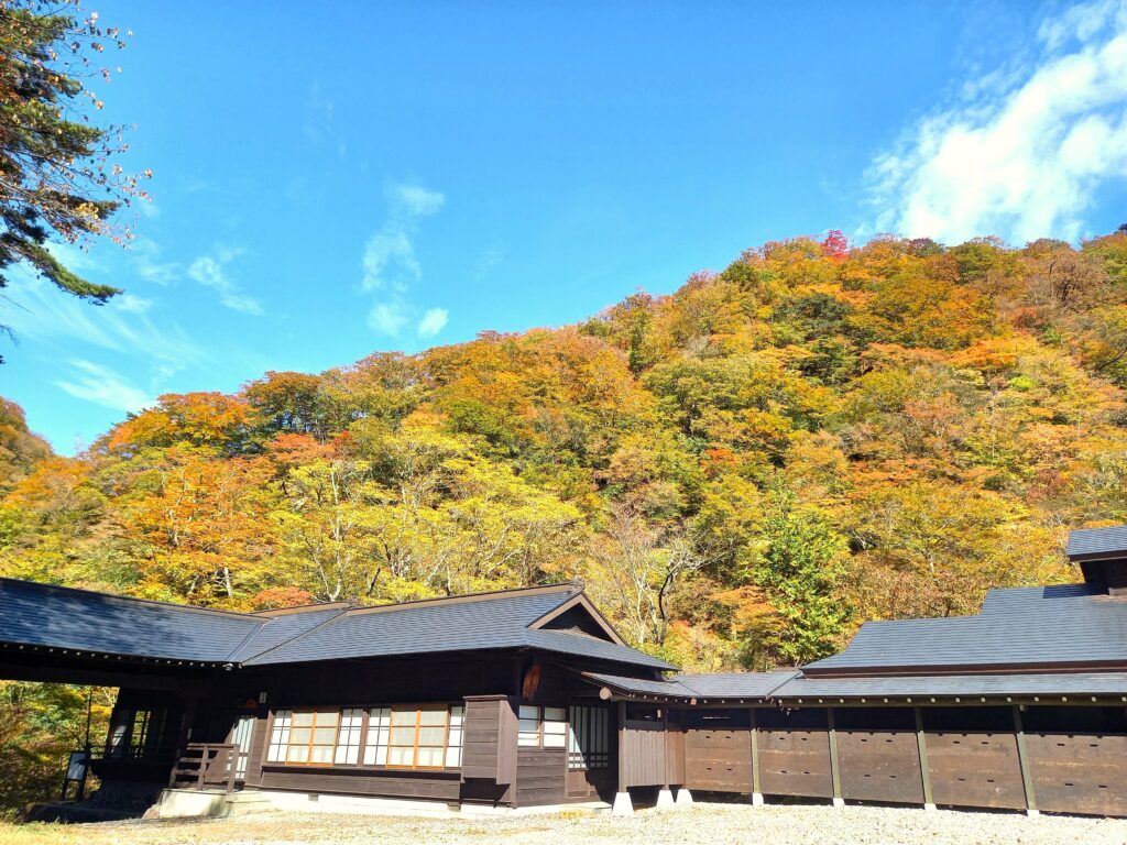 西郷村紅葉状況をお知らせします。 | 西郷村観光協会｜福島県西郷村日光国立公園にある自然豊かなさわやか高原公園都市